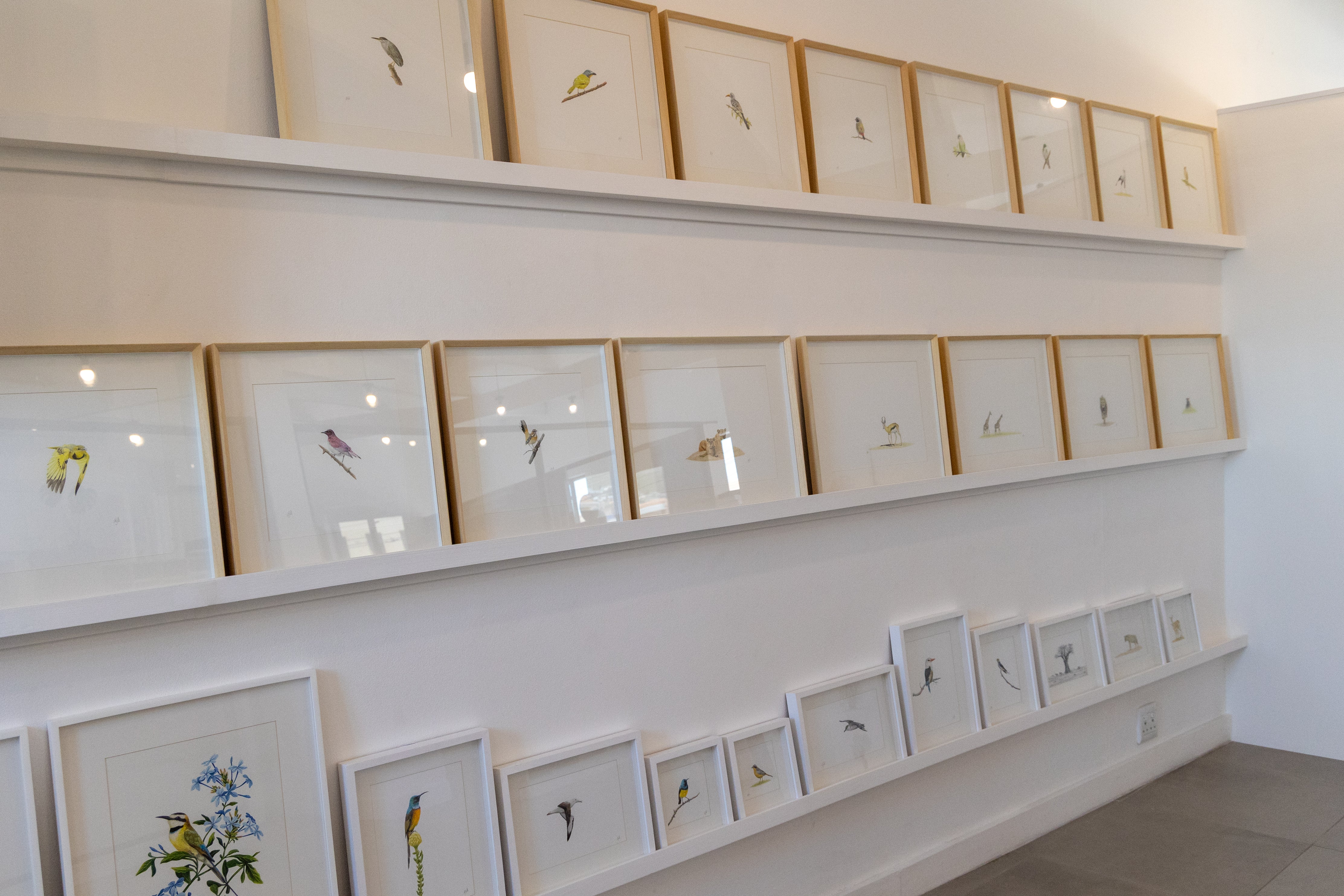 Original Drawings 2025 – Matthew Bell Wildlife Art