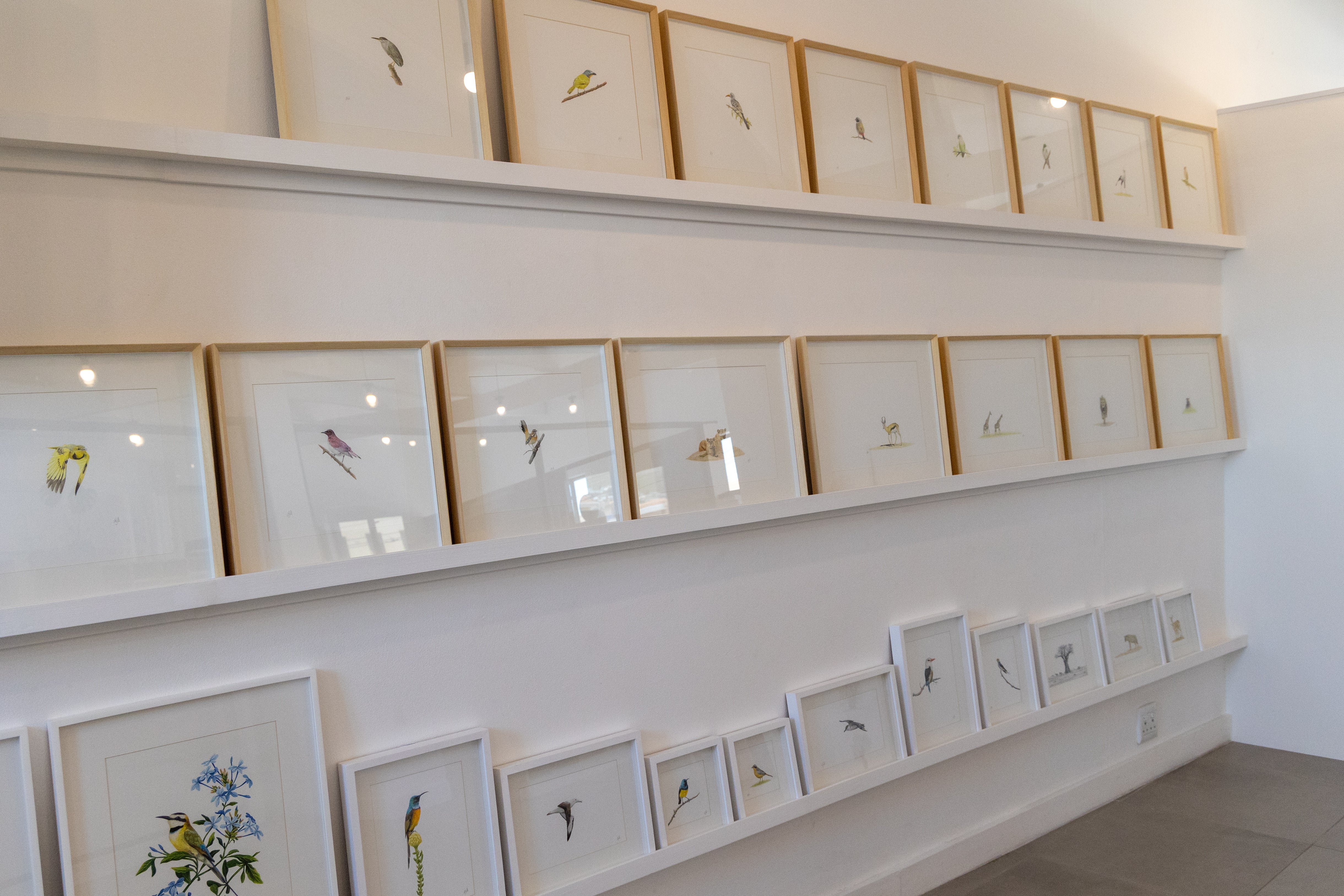 Original Drawings 2025 – Matthew Bell Wildlife Art