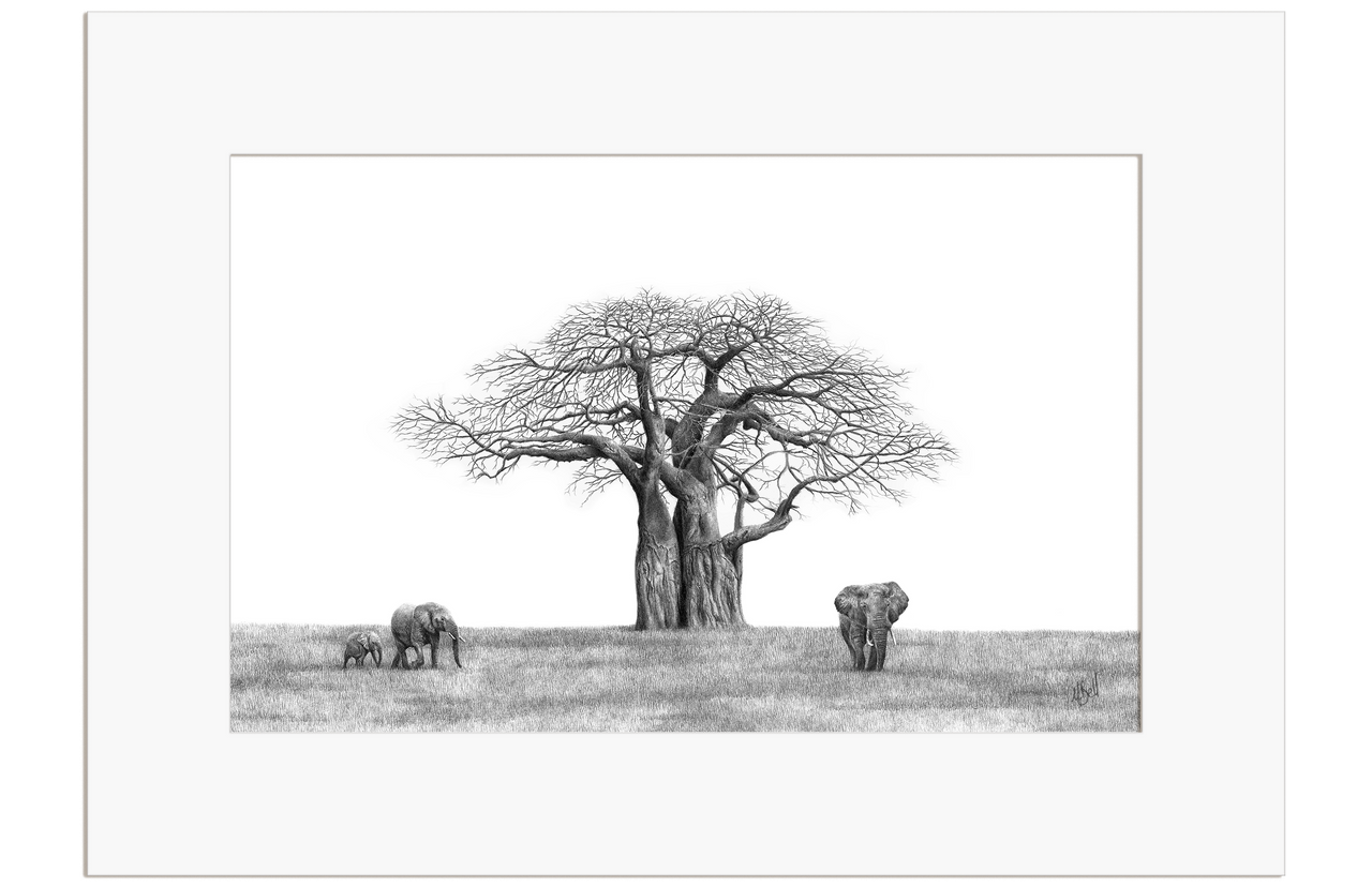 African Baobab Tree and Elephants - BT1 – Matthew Bell Wildlife Art