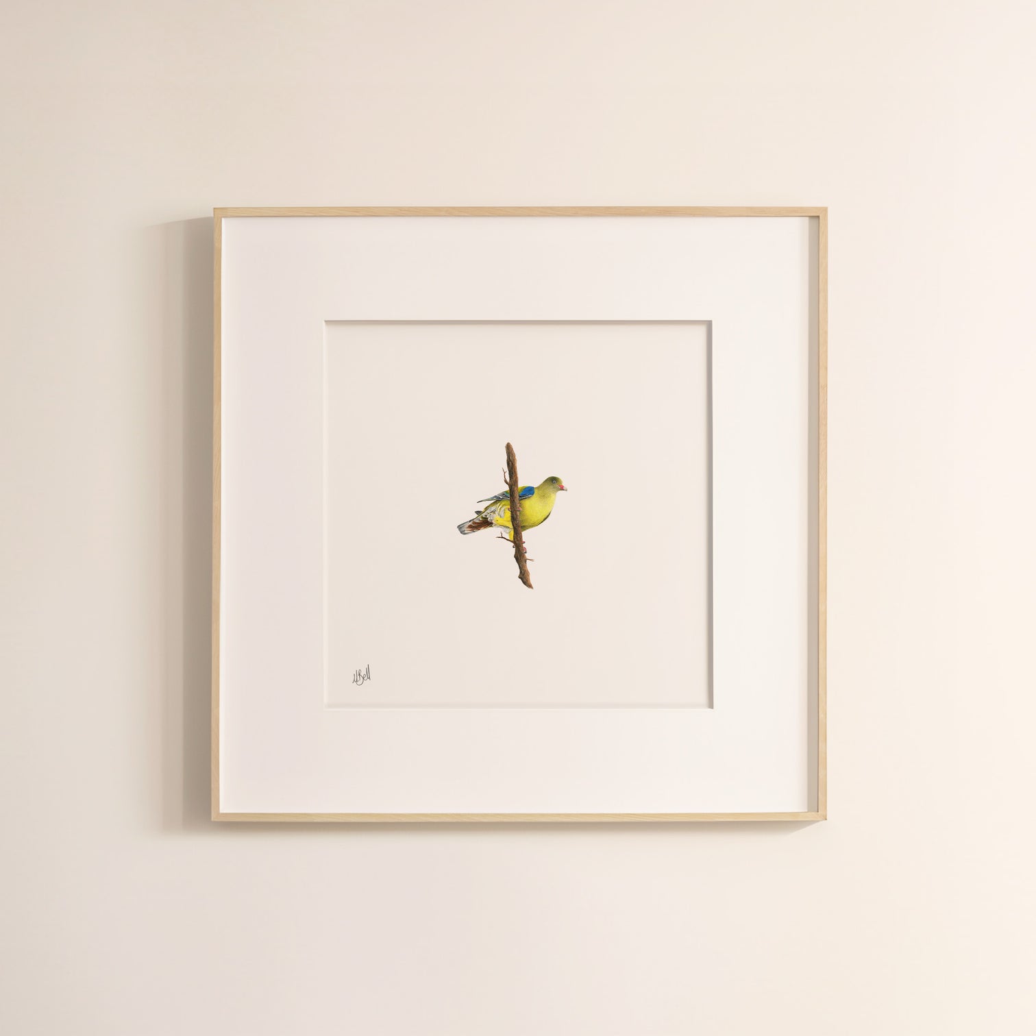 Birds – Matthew Bell Wildlife Art