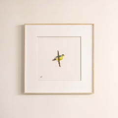 Birds – Matthew Bell Wildlife Art