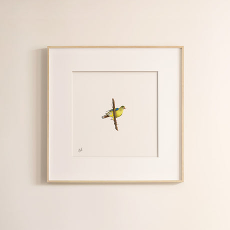 Birds – Matthew Bell Wildlife Art