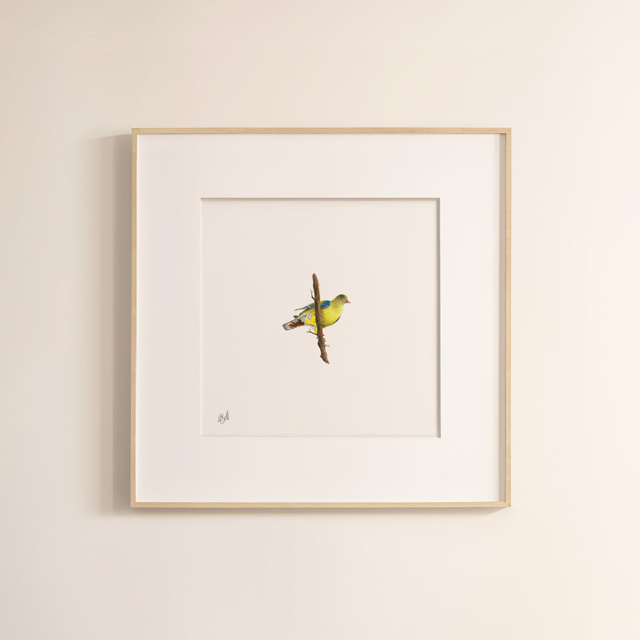 Birds – Matthew Bell Wildlife Art