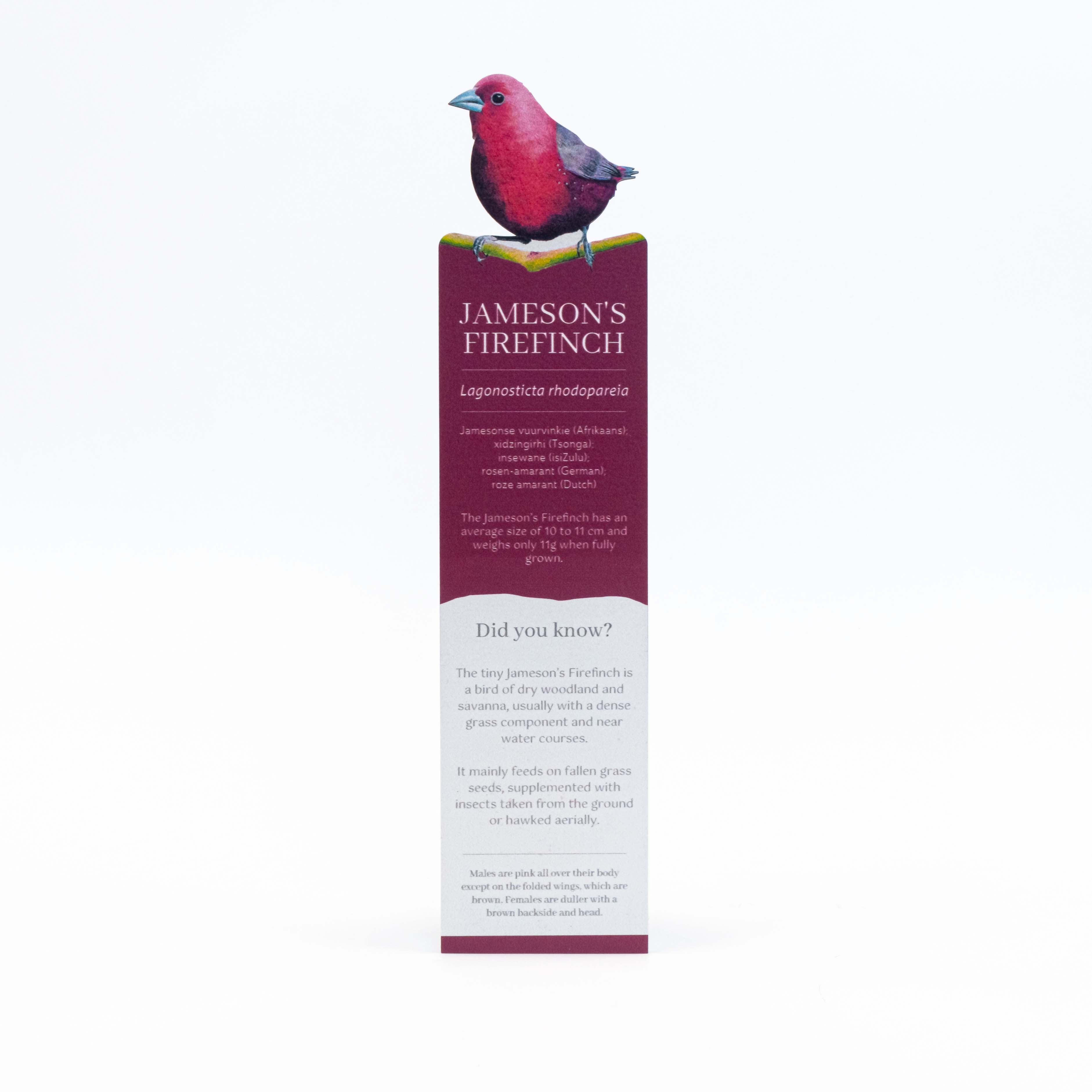 Jameson's Firefinch Wooden Bookmark – Matthew Bell Wildlife Art