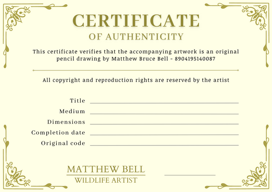 Birds – Matthew Bell Wildlife Art