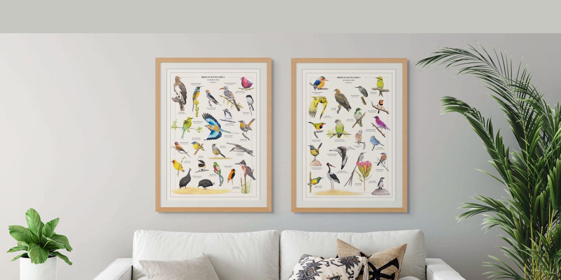 South African Wildlife Artist - Prints And Originals – Matthew Bell ...