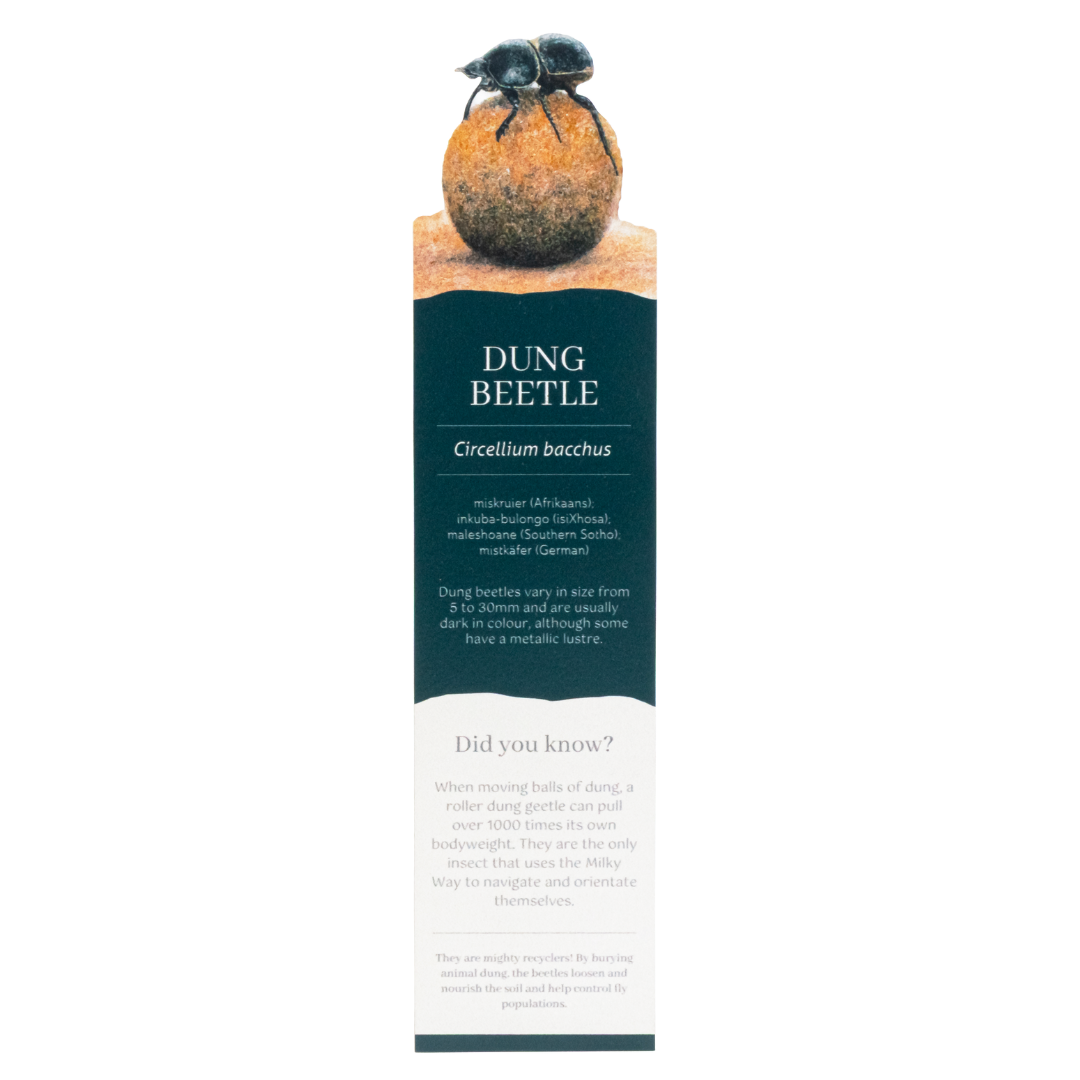 Dung Beetle Wooden Bookmark – Matthew Bell Wildlife Art