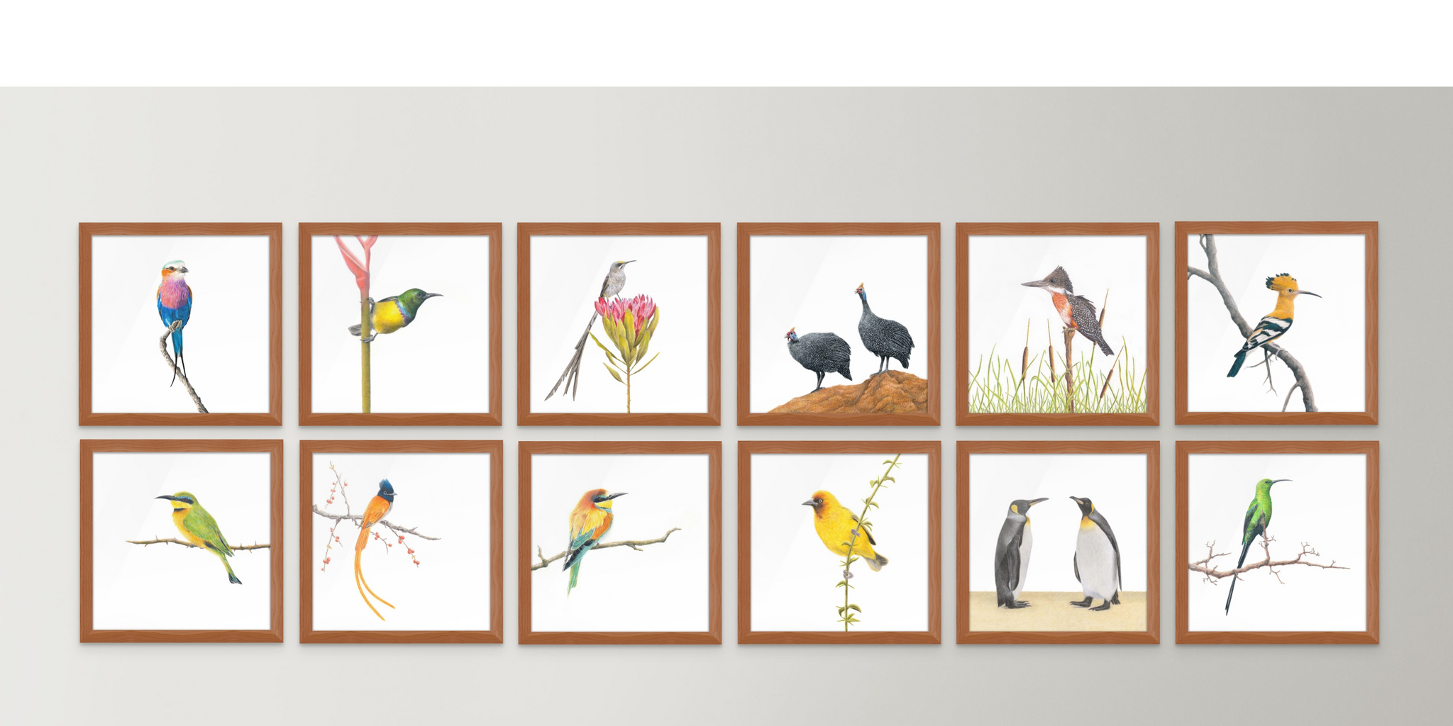 South African Wildlife Artist - Prints And Originals – Matthew Bell ...