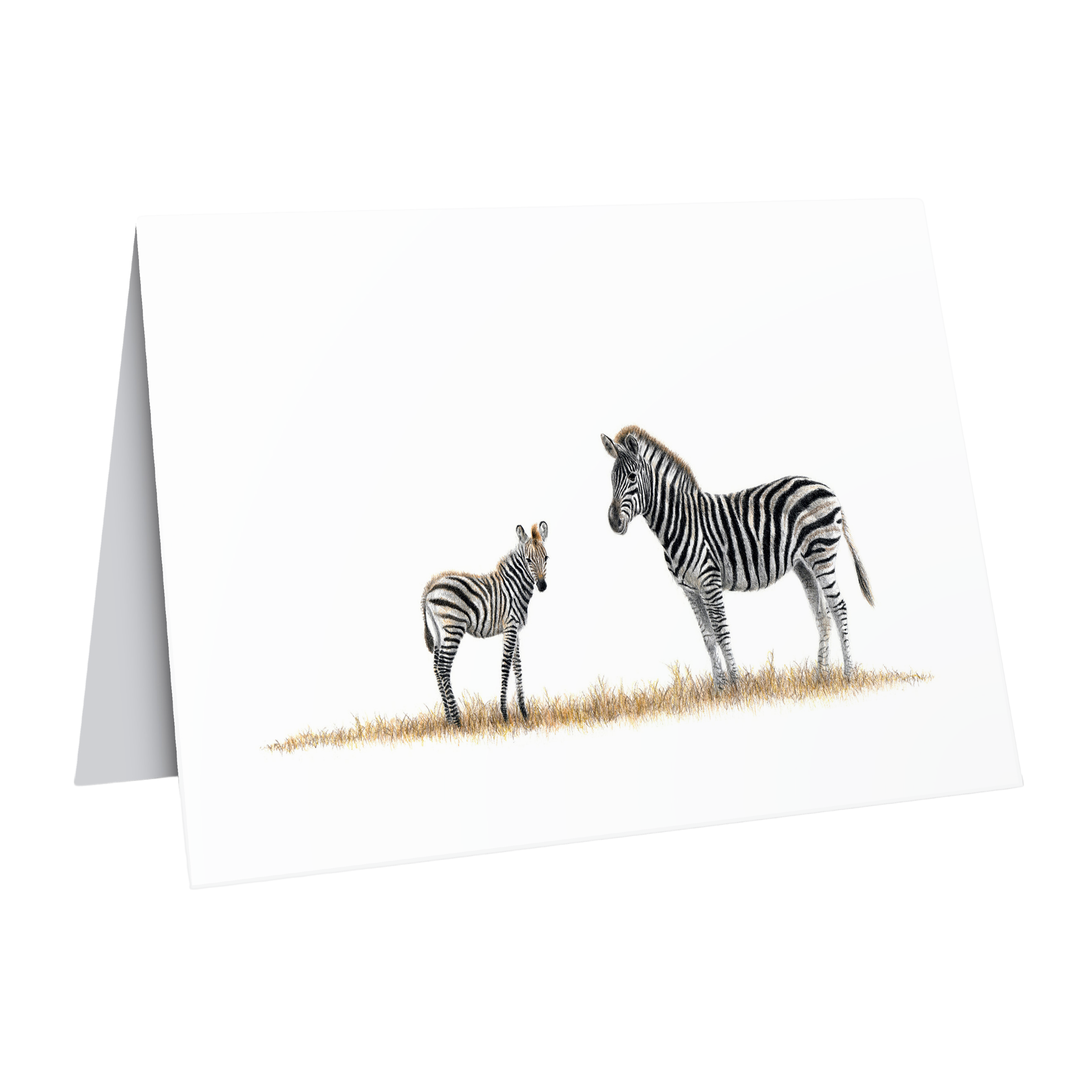 Zebra Mother and Baby Greeting Card - Z2 – Matthew Bell Wildlife Art