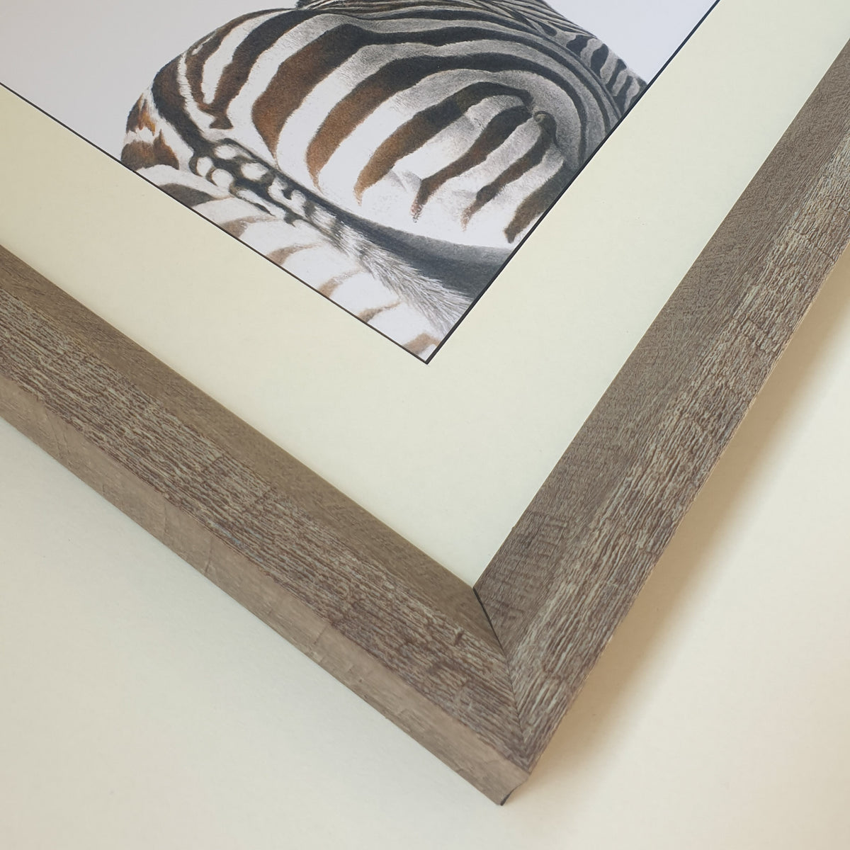 Zebra Portrait in a synthetic wood style frame – Matthew Bell Wildlife Art