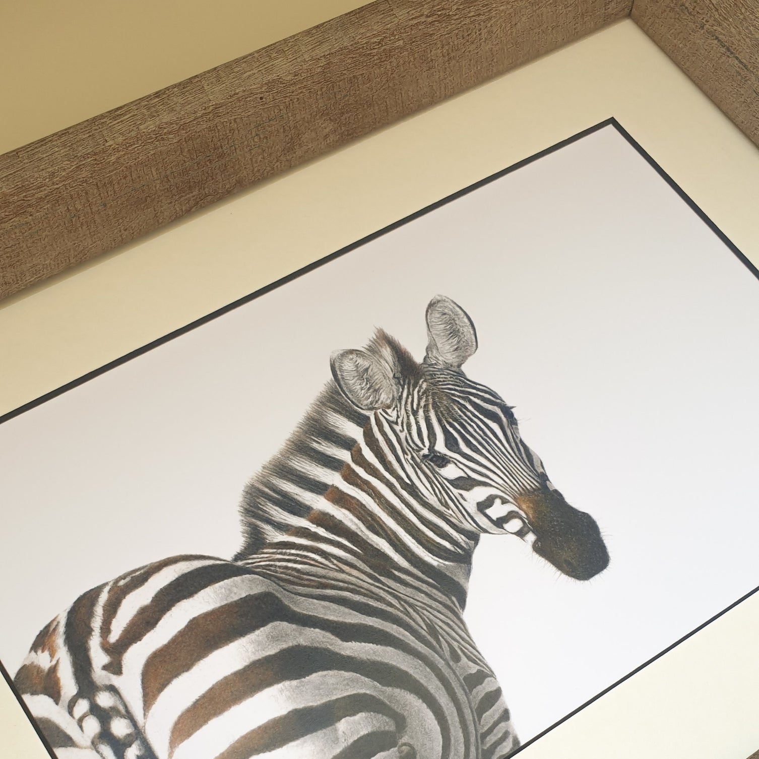 Zebra Portrait in a synthetic wood style frame – Matthew Bell Wildlife Art